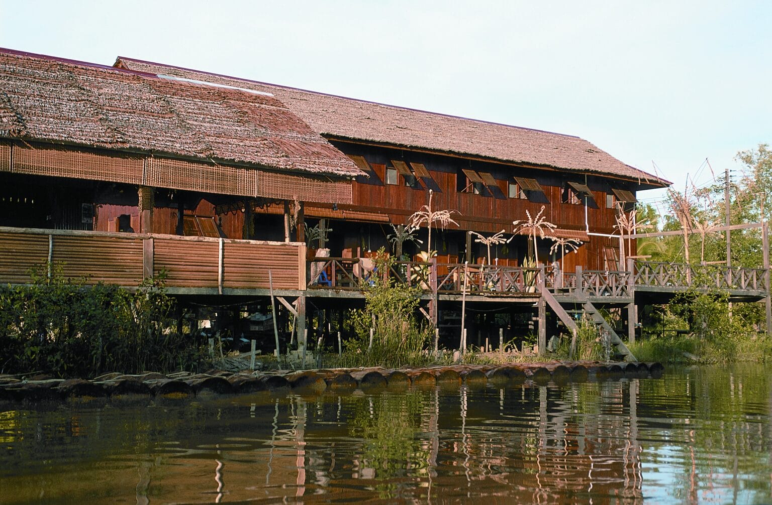 Visiter Bornéo : Guide complet des incontournables